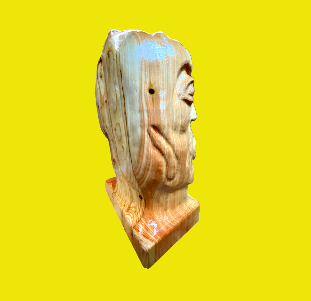 die zwei gesichter | alfred kriege